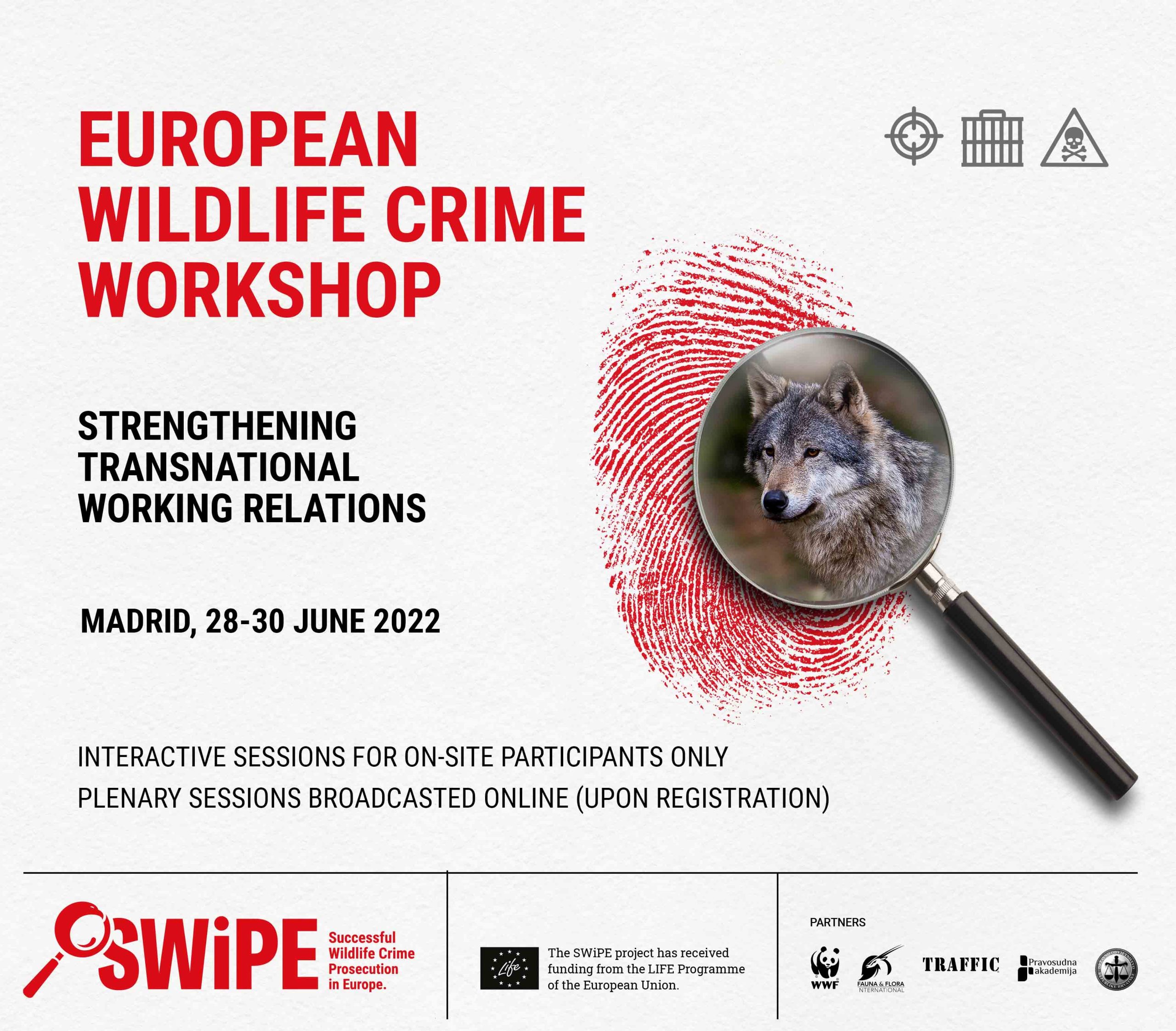 European Wildlife Crime Workshop - The Successful Wildlife Crime ...
