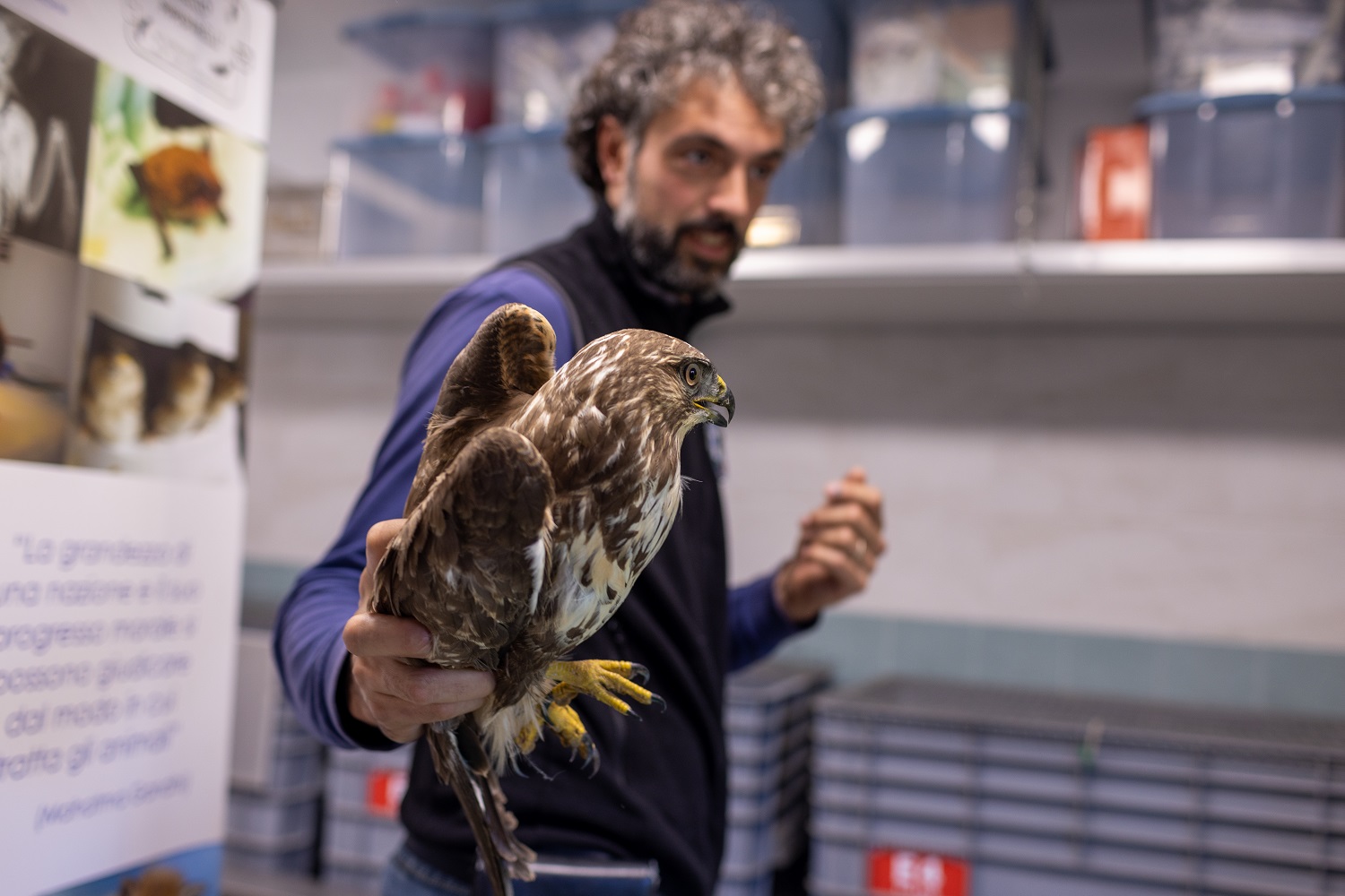 "Save that robin": a day in the fight against poaching in Northern ...