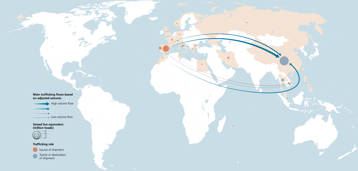 From rivers to black markets: how law enforcement in Europe is ...